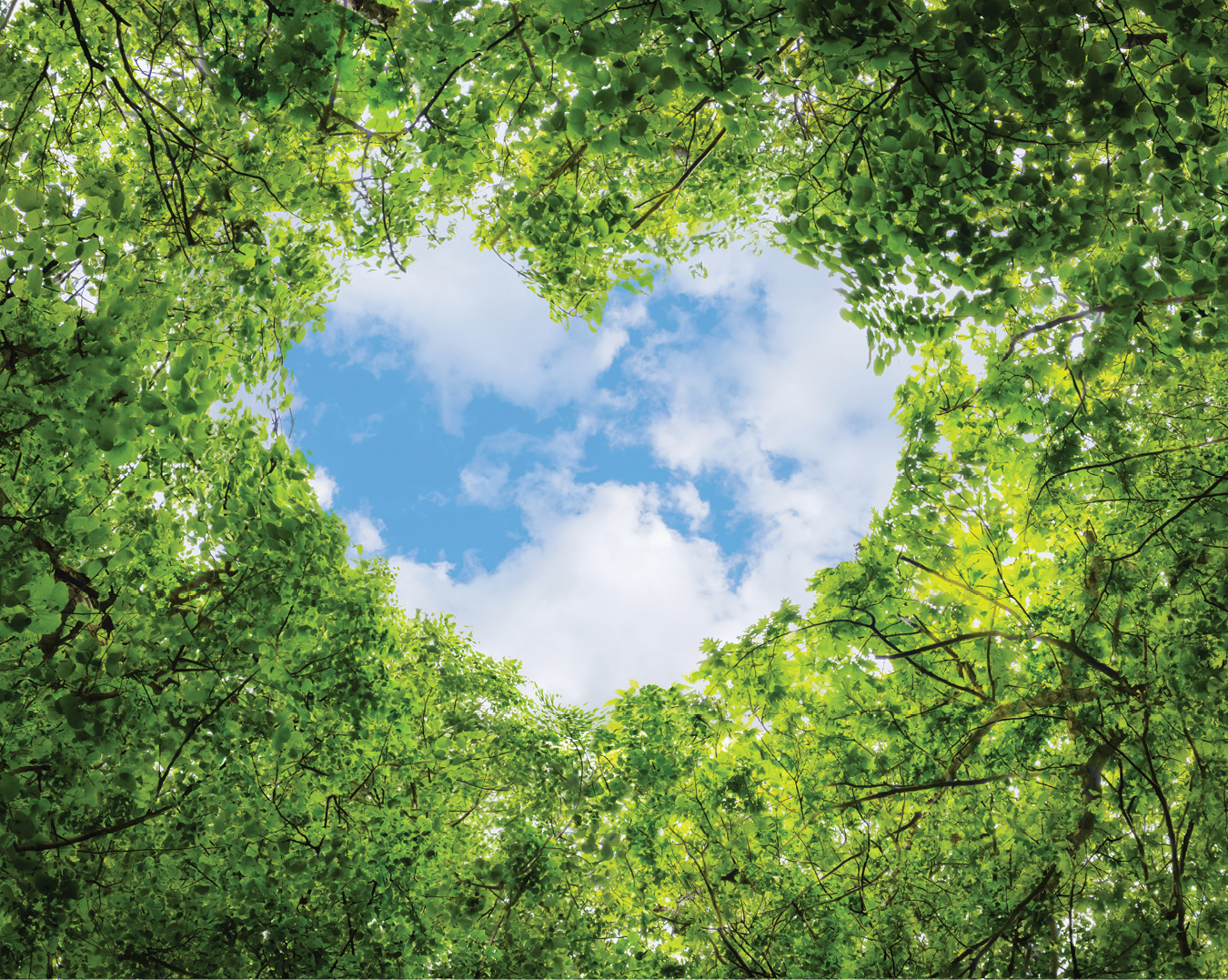 Build a Strong Climate and Culture | NASSP